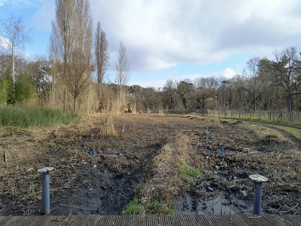 Faucardage terminé | LifeAdsorb